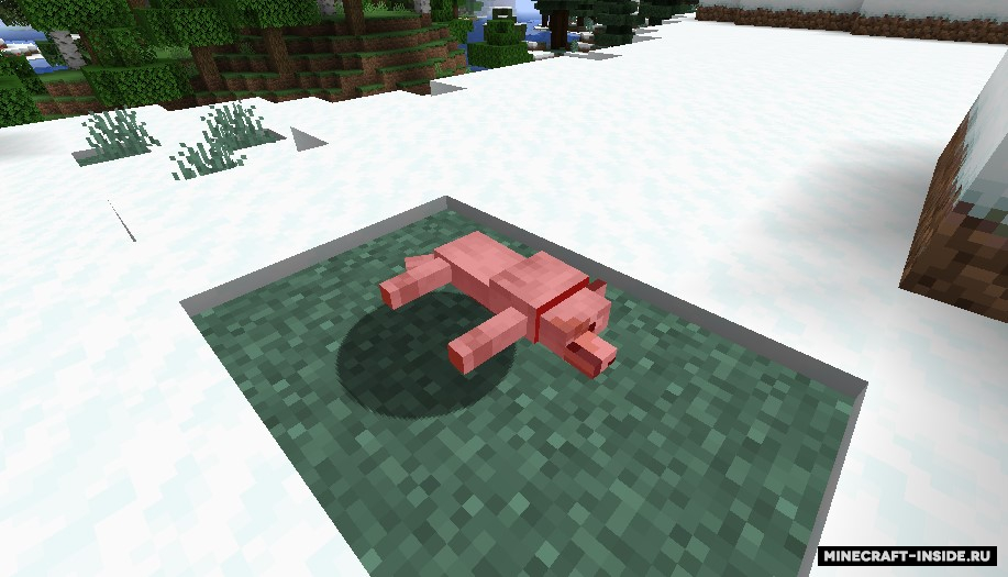 Save Your Pets [1.21.10] [1.20.6] [1.19.4] [1.16.5] / Моды для ...