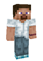 the rich steve / Скины для Майнкрафт / Minecraft Inside