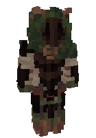 Druid / Скины для Майнкрафт / Minecraft Inside