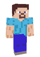 Steve in a new form / Скины для Майнкрафт / Minecraft Inside