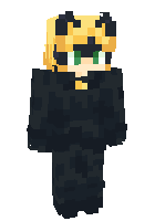 Кот Нуар / Cat Noir / Скины для Майнкрафт / Minecraft Inside
