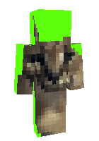 Floppa_In_Green_Screen / Скины для Майнкрафт / Minecraft Inside
