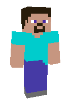 7 Color Steve / Скины для Майнкрафт / Minecraft Inside