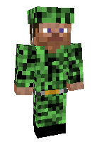 steve military / Скины для Майнкрафт / Minecraft Inside