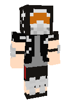 Raider / Скины для Майнкрафт / Minecraft Inside