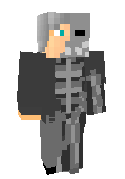 The terminator / Скины для Майнкрафт / Minecraft Inside