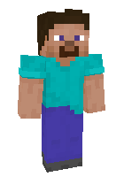 New normal Steve / Скины для Майнкрафт / Minecraft Inside