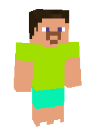 Bikon / Скины для Майнкрафт / Minecraft Inside