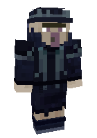 Viler witch update / Скины для Майнкрафт / Minecraft Inside