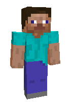Normal Steve / Скины для Майнкрафт / Minecraft Inside