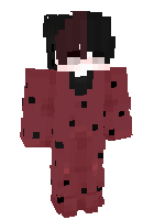 ledi bag / Скины для Майнкрафт / Minecraft Inside