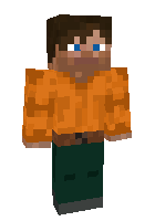 Steve Orange / Скины для Майнкрафт / Minecraft Inside