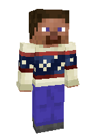 NG_Steve / Скины для Майнкрафт / Minecraft Inside