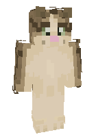 meowl cat mem / Скины для Майнкрафт / Minecraft Inside