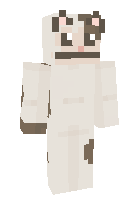 Beluga cat / Скины для Майнкрафт / Minecraft Inside